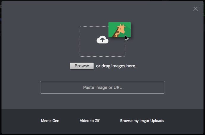 How to make a meme - Digital Trends