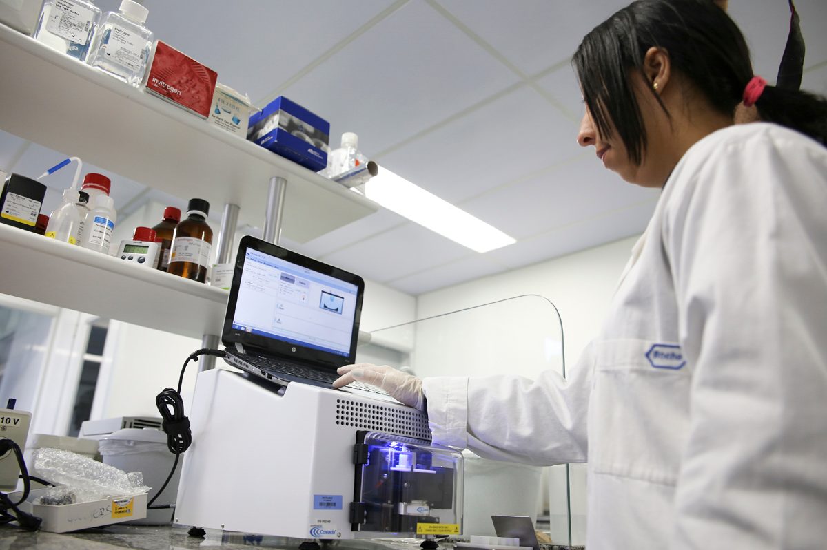 To unlock secrets of evolution, scientists want to sequence all life on ...