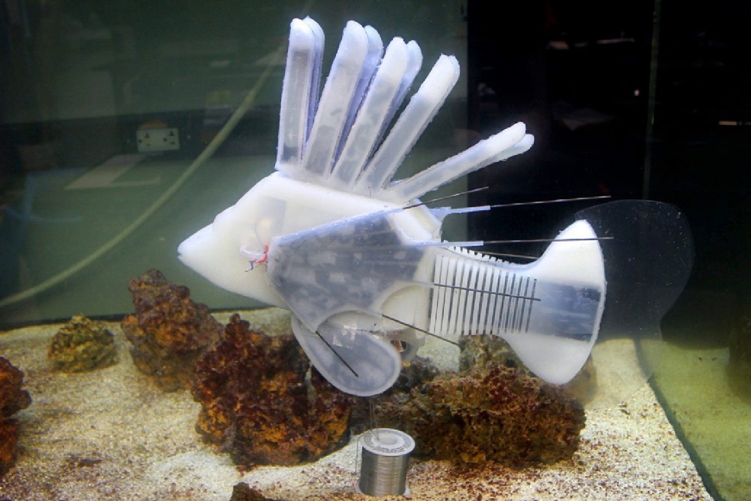 Cornell's lionfish-inspired robot uses artificial blood to stay powered ...