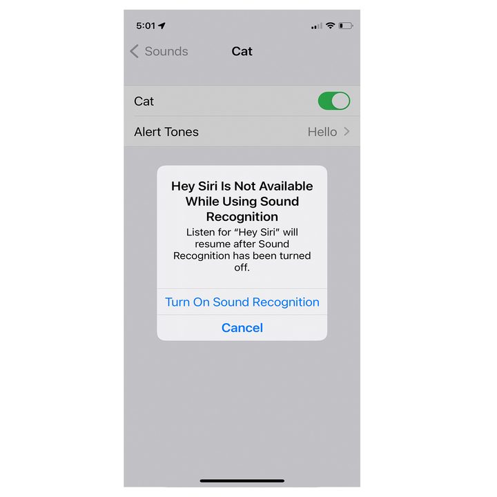 How to use your iPhone's Sound Recognition feature - Digital Trends