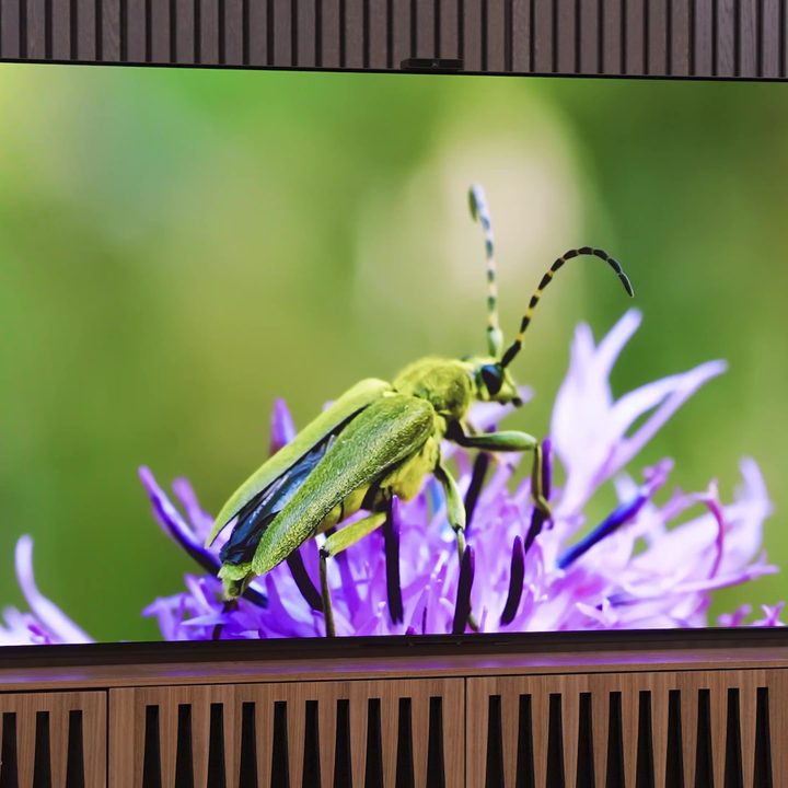 Sony Bravia A95L QD-OLED TV review: the best of the best - Digital Trends
