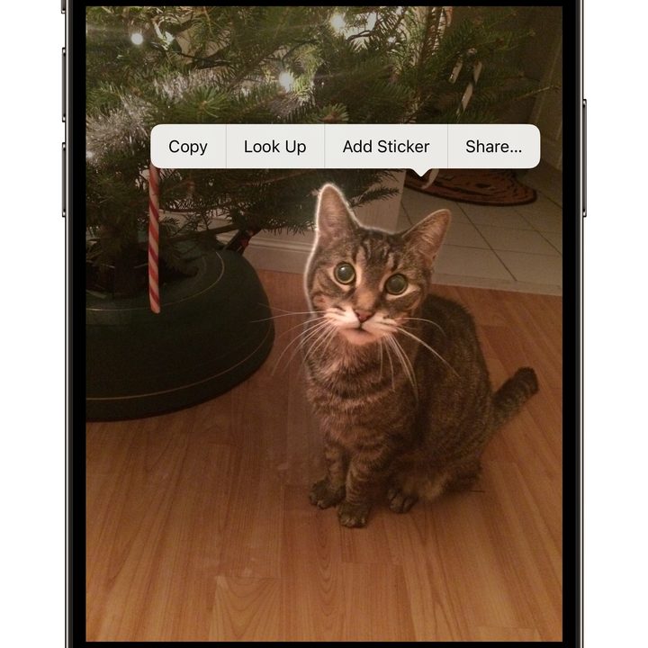 How to use photo cutout to cut and paste images in iOS 17 - Digital Trends