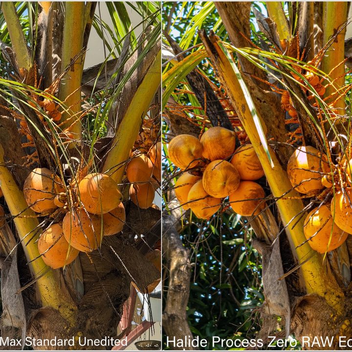 How Halide Process Zero changed my iPhone camera forever - Digital Trends
