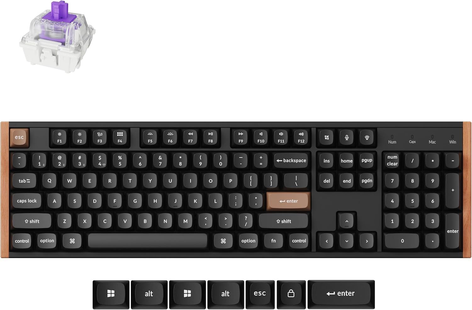 The "rapid trigger" revolution: why mechanical switches are dead ...