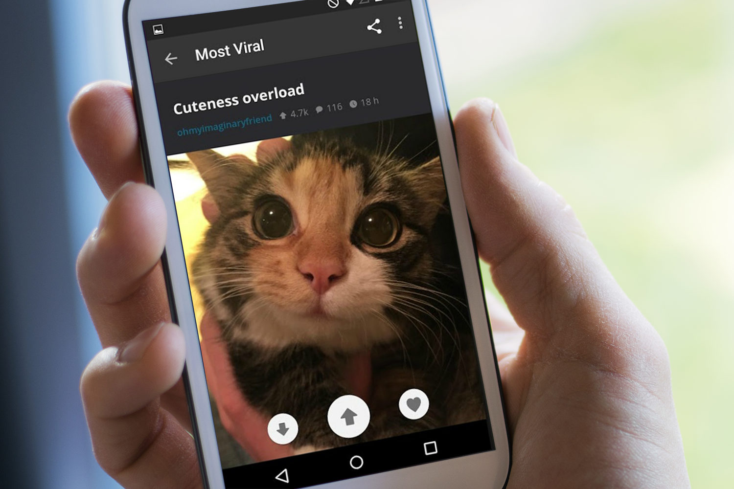 Imgur Now Lets You Follow and Chat with Other Meme Lovers | Digital Trends