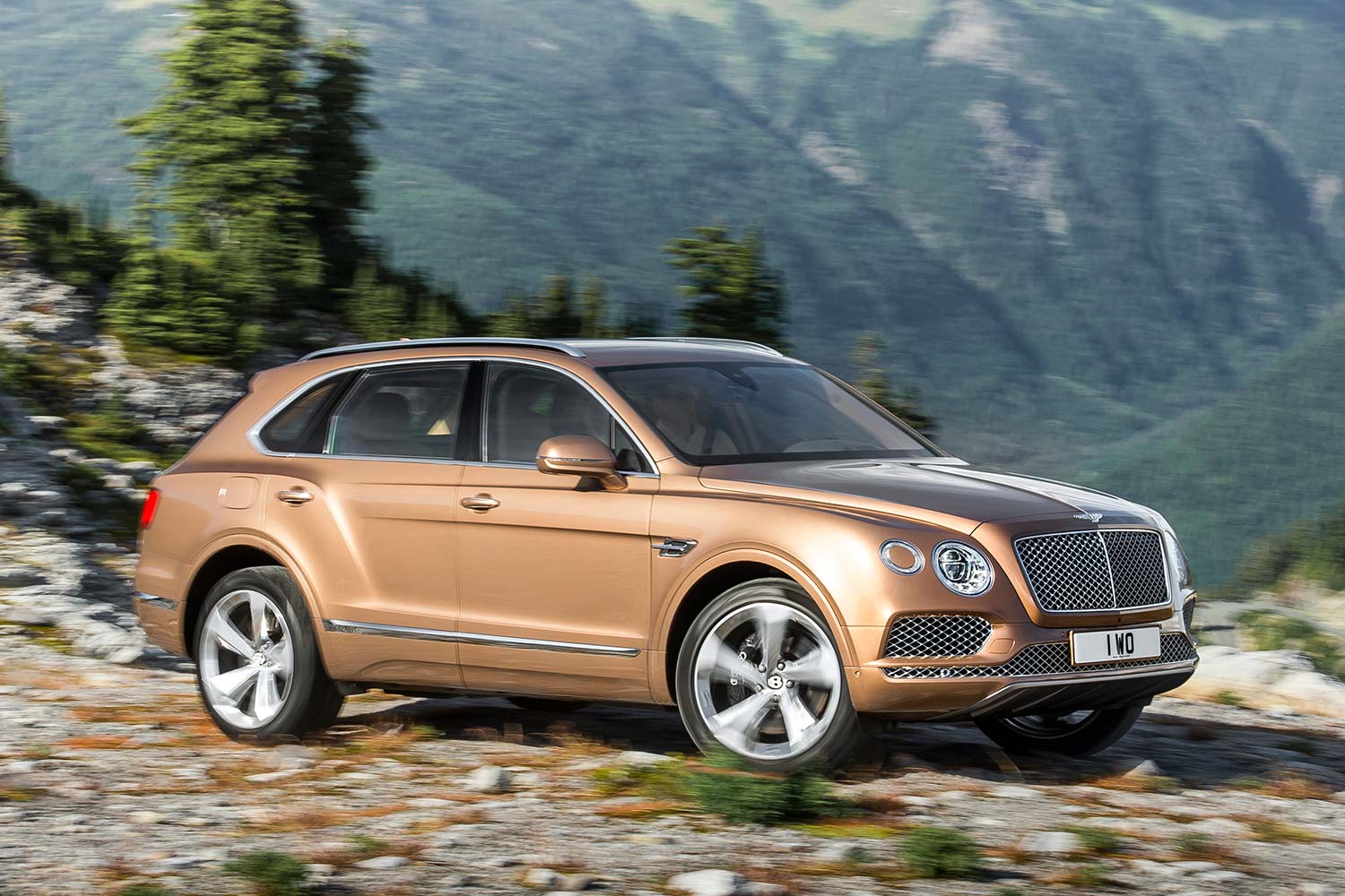 Bentley Bentayga | Photos, details, specs | Digital Trends