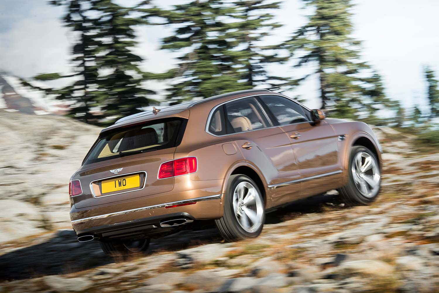 Bentley Bentayga | Photos, details, specs | Digital Trends