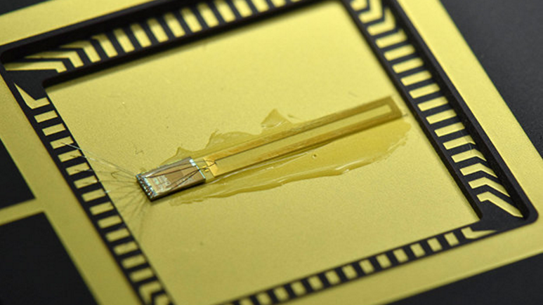 New Medical Camera Is Able To See Light From Inside The Human Body ...
