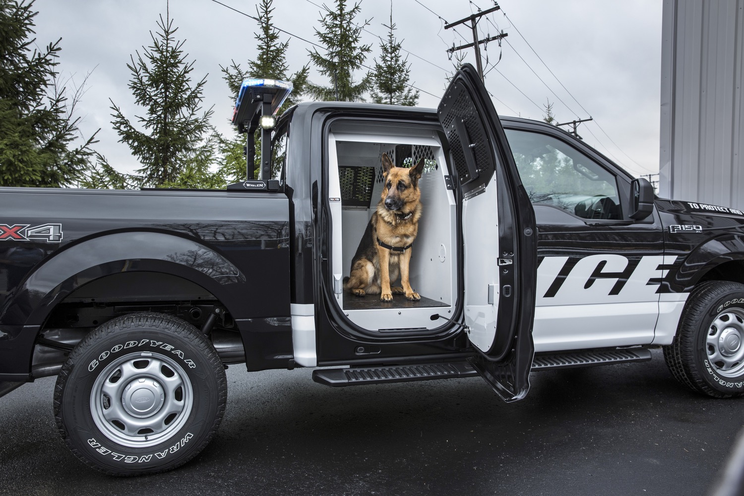2016 Ford F-150 Special Service Vehicle | Photos, Specs | Digital Trends
