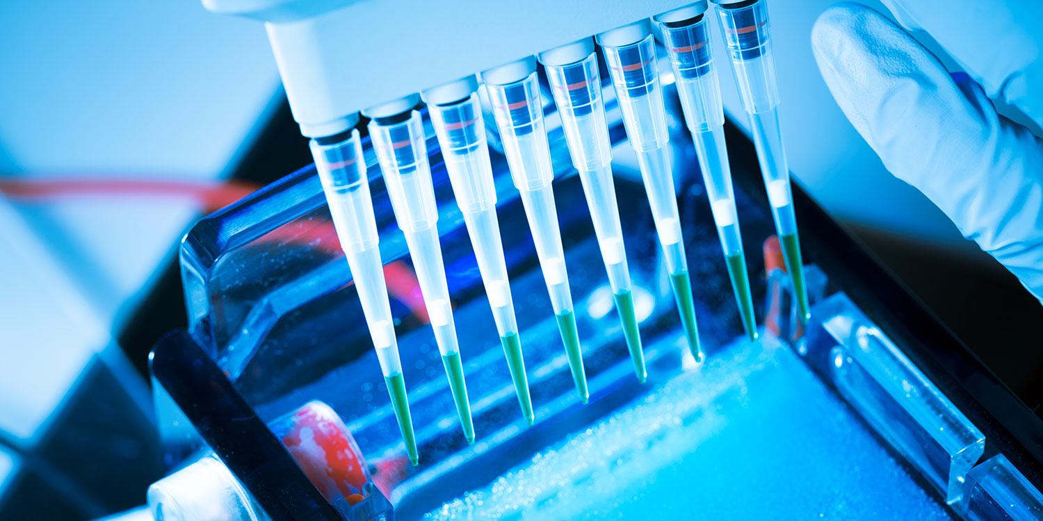 Japanese Lab-Grown Skin Successfully Sweats, Grows Hair | Digital Trends