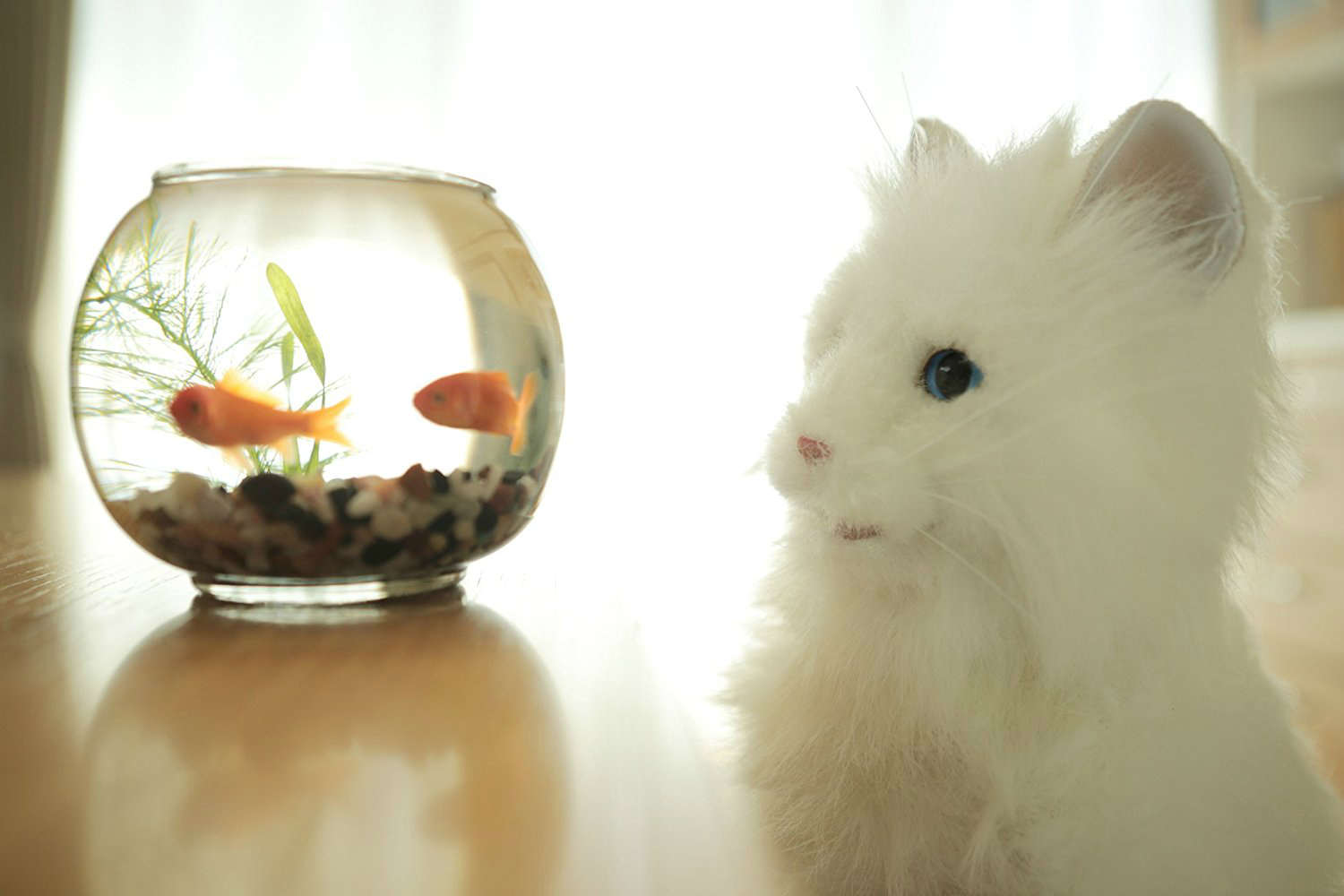 The 15 Weirdest Japanese Toys | Digital Trends