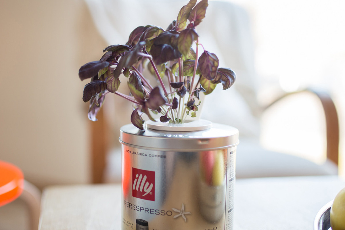 Click and Grow DIY Starter Kit Gets You Started With Indoor Gardening ...
