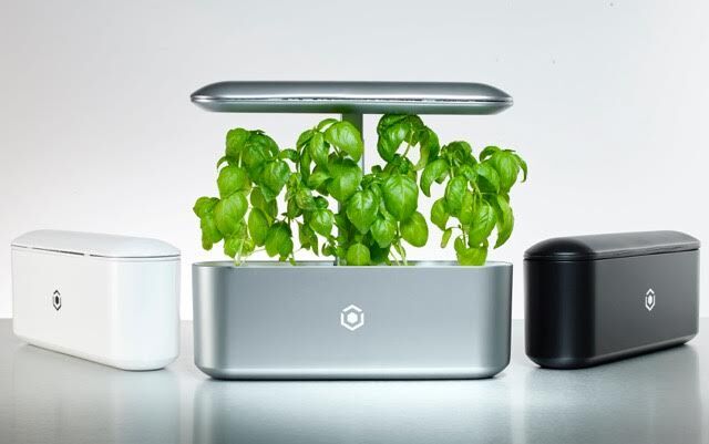 Click and Grow DIY Starter Kit Gets You Started With Indoor Gardening ...
