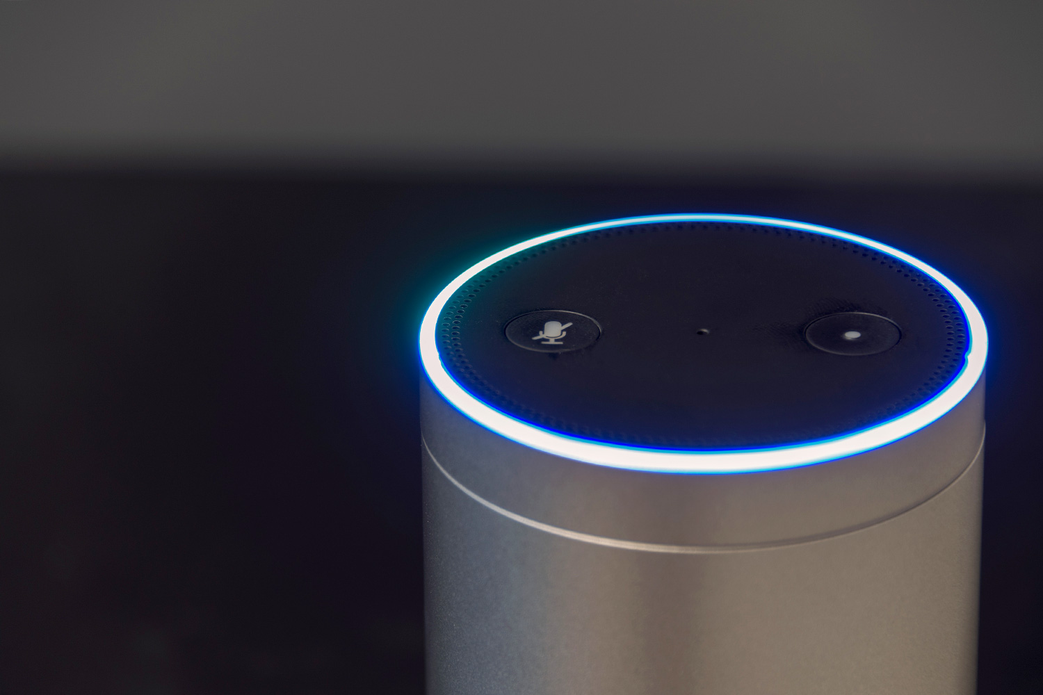 How to Play 'Skyrim: Very Special Edition' on Your Alexa Device ...