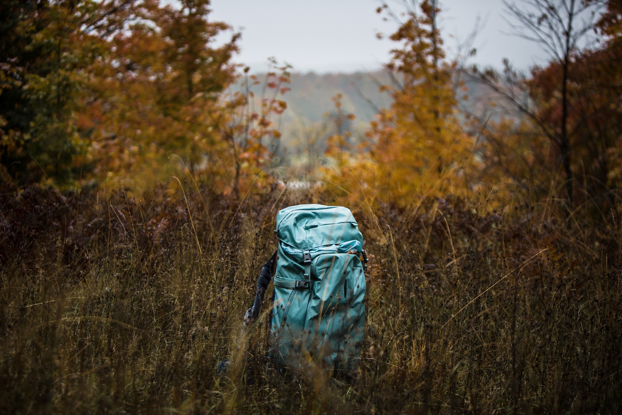 Shimoda Adventure Camera Bags Review | Digital Trends