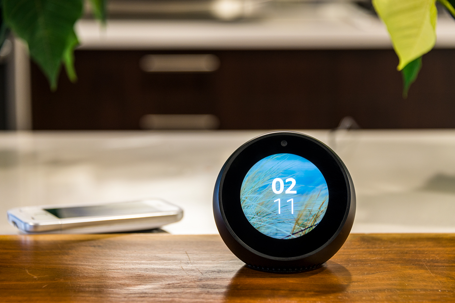 How To Connect Alexa To IPhone How To Connect Alexa To IPhone