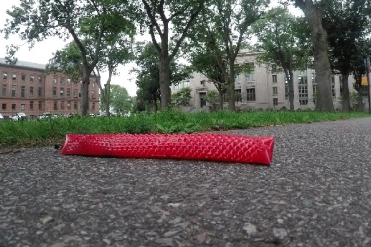 Watch This Inflatable Robot Slither Around Using Artificial Snakeskin ...