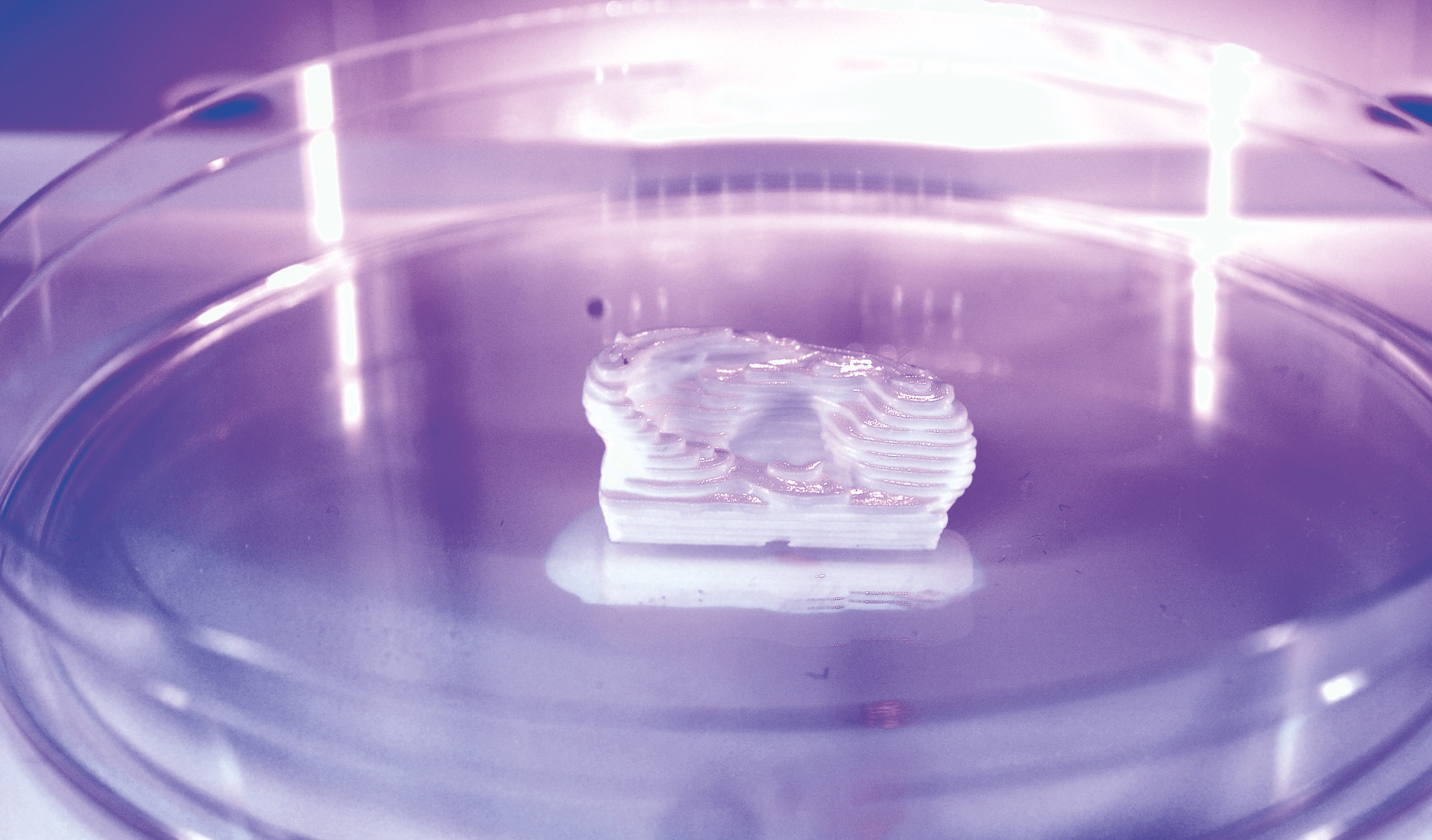 Inside Cellink, the Swedish company building 3D printers for living ...