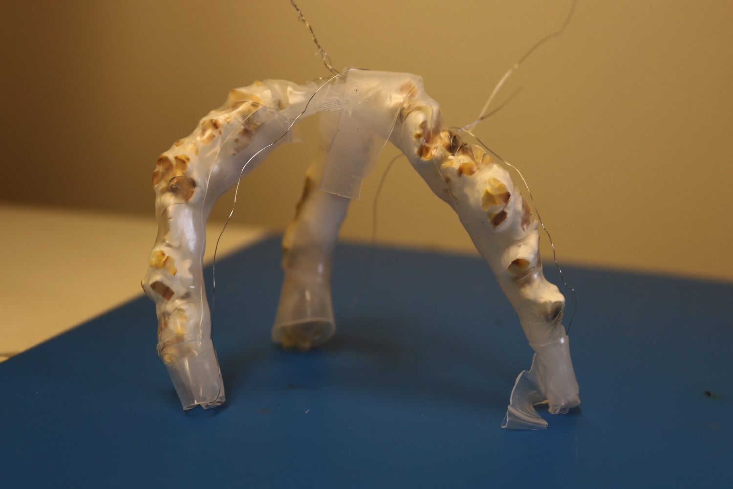 Popcorn-Powered Robots Are Far More Practical Than They Sound | Digital ...