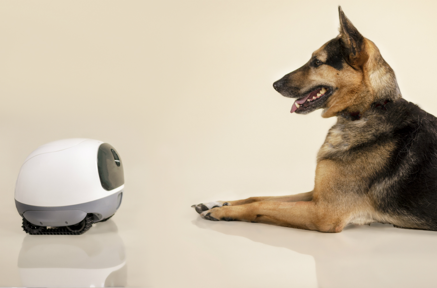 How smart is too smart for your pets? | Digital Trends