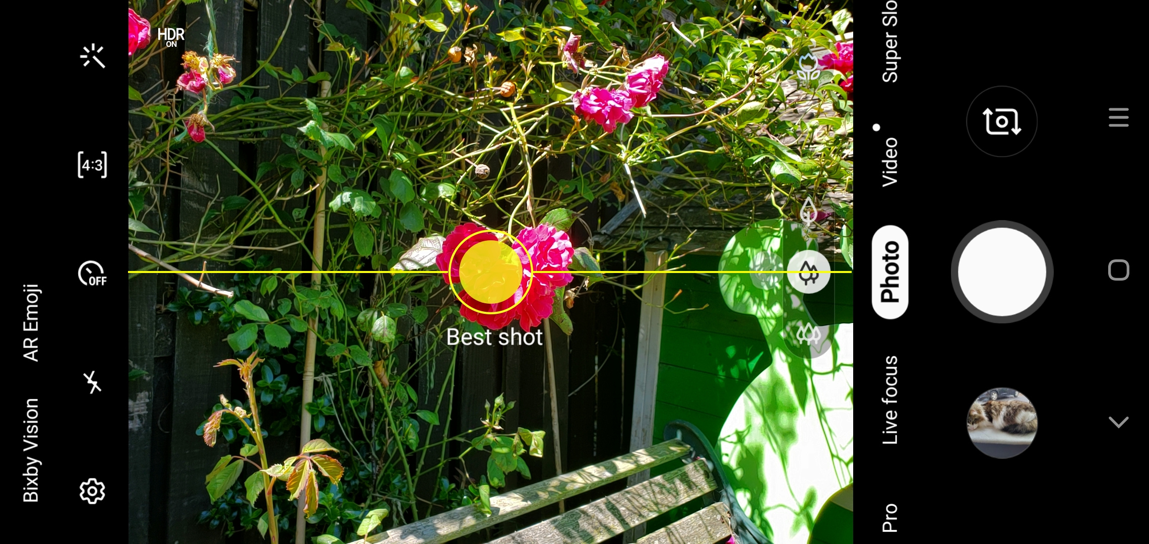 Samsung Galaxy S10 Camera Guide: How to Take Amazing Photos | Digital ...