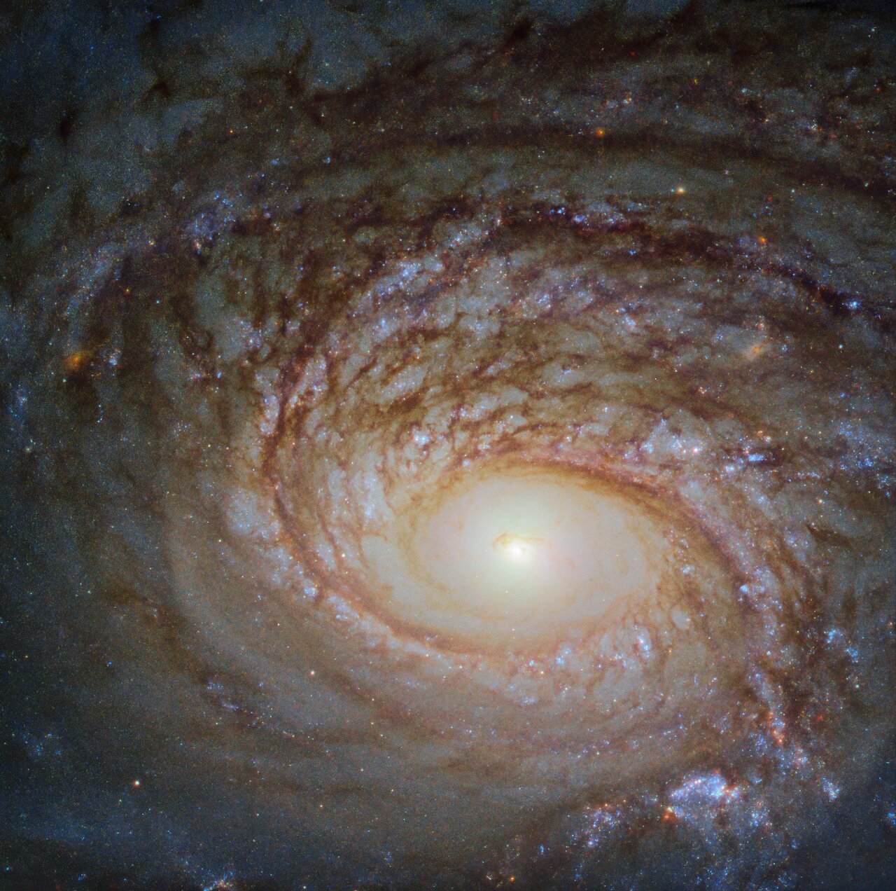 Galaxies' Spiral Arms Are Formed in Sync With Their Magnetic Fields ...