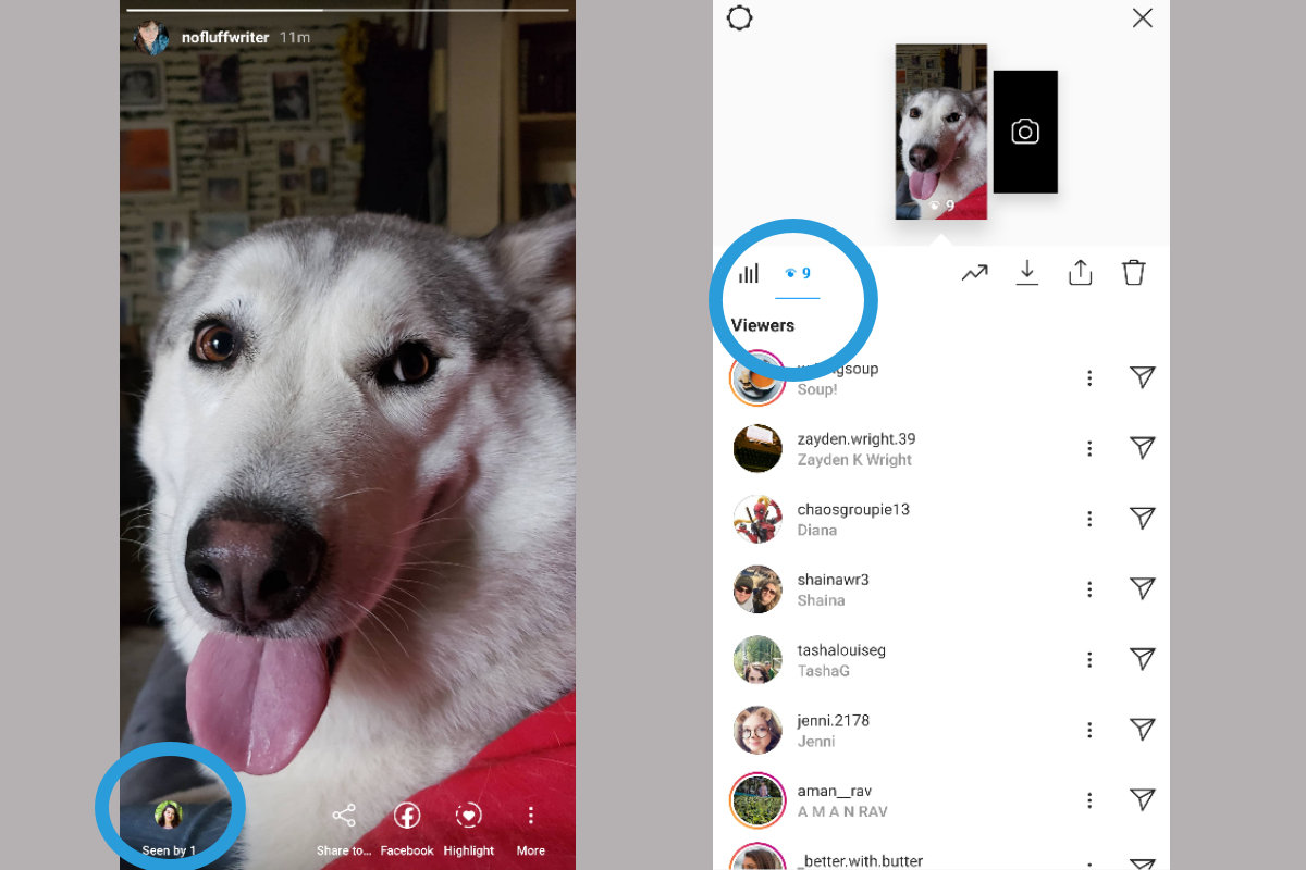 How to View Instagram Stories on Your Computer | Digital Trends