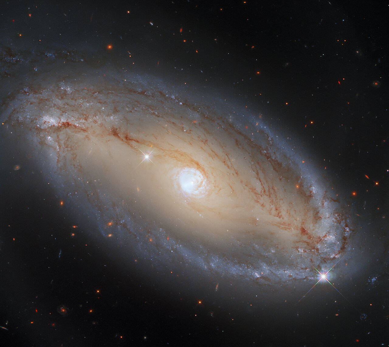 Amateur Astronomer Sees Rare Double Nucleus in Cocoon Galaxy | Digital ...