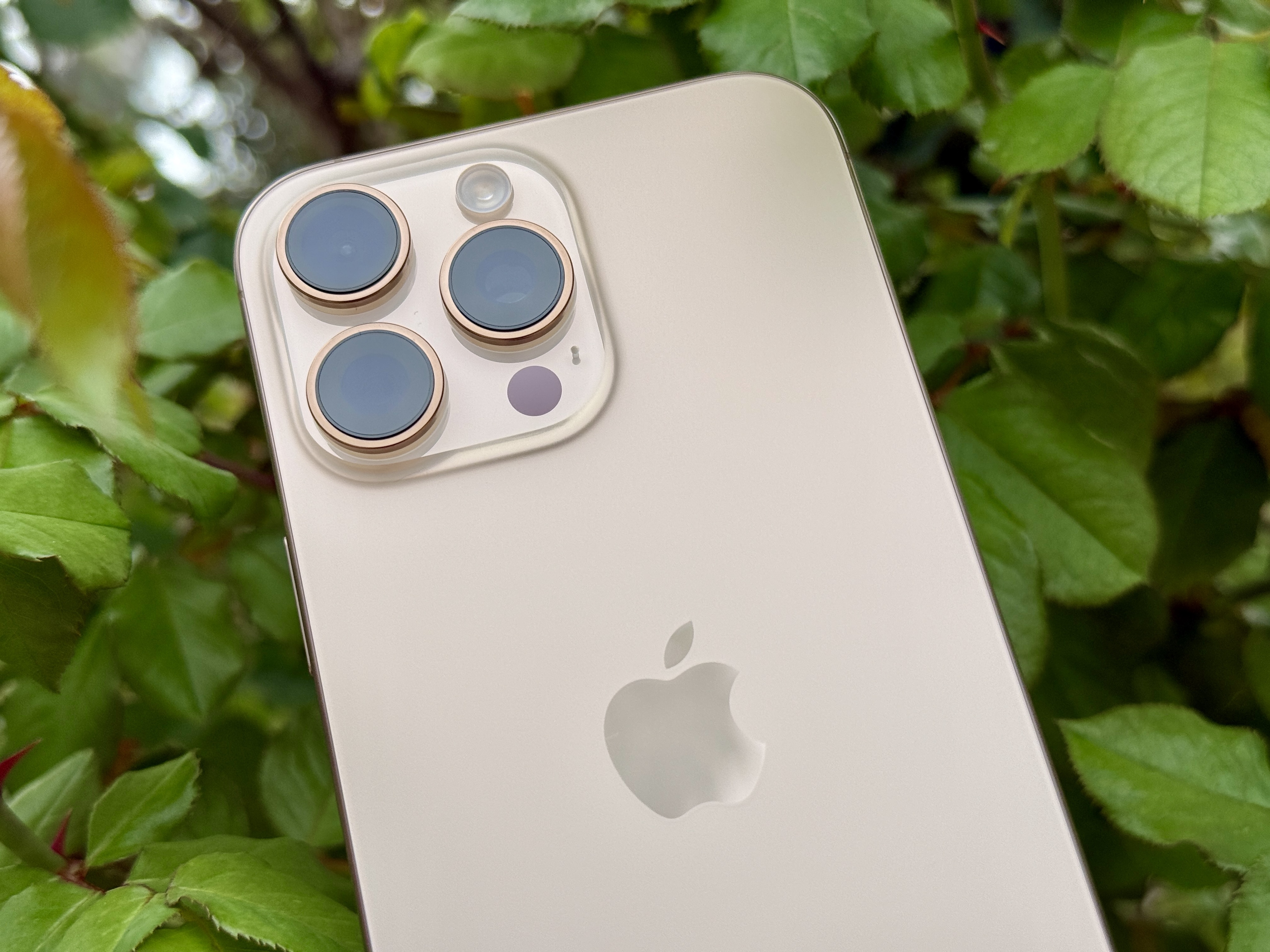 Apple iPhone 16 Pro Max review: A big, brilliant iPhone | Digital Trends
