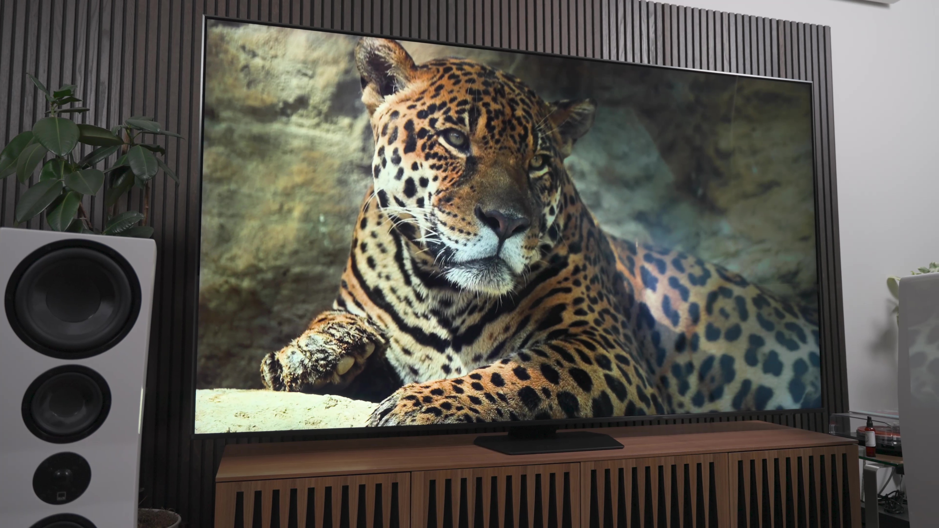 LED vs. LCD TVs explained: What's the difference? | Digital Trends